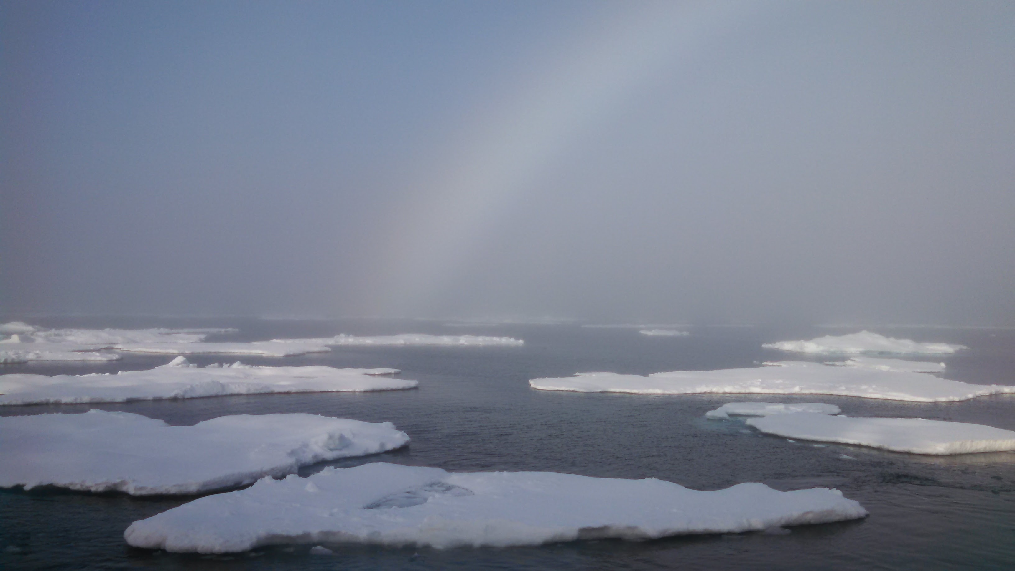 NSF Navigating the New Arctic: Information & Ideas Session | Byrd Polar ...