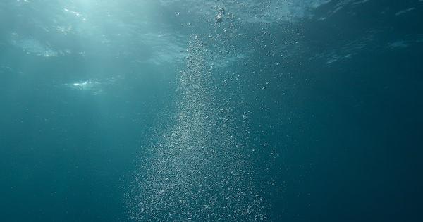 Ecogenomics Reveals Viral Communities Across the Challenger Deep ...