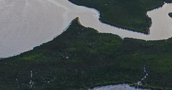 SWOT Satellite Delivers First Global Estimates of River Discharge ...