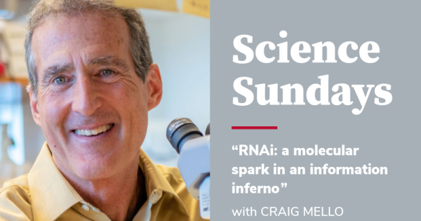 Science Sundays: "RNAi: a molecular spark in an information inferno ...