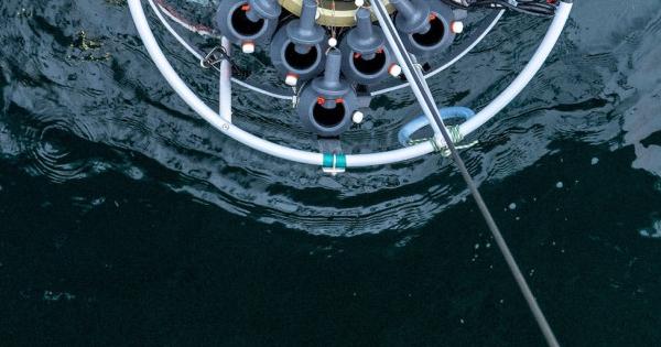 Bacteria resisting viral infection can still sink carbon to ocean floor ...