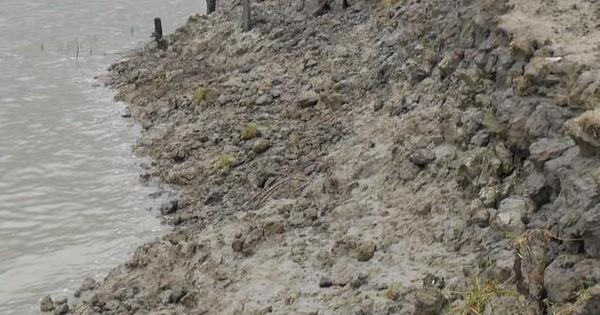 Climate change lessons from Bangladesh's disappearing farms | Byrd ...